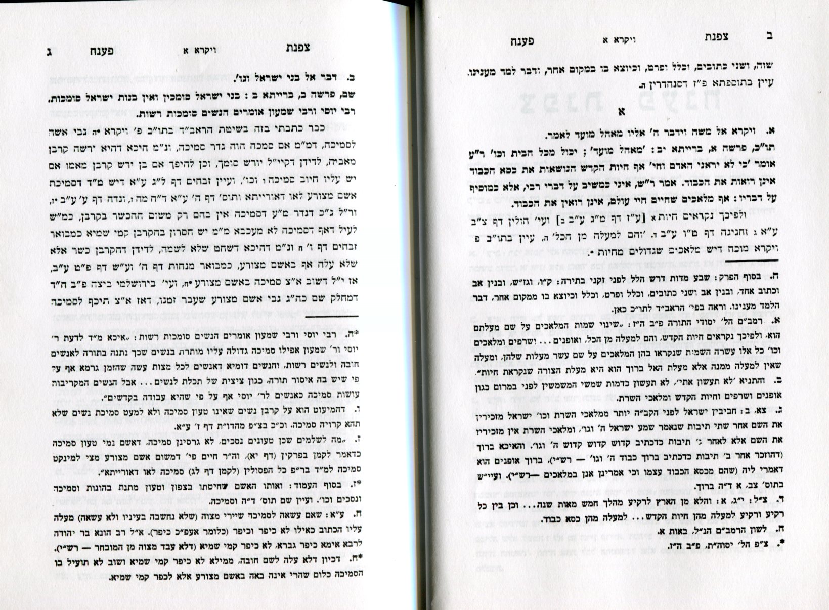 צפנח פענח על התורה. Rogatchover Gaon – HebrewUsedBooks.com – FREE shipping
