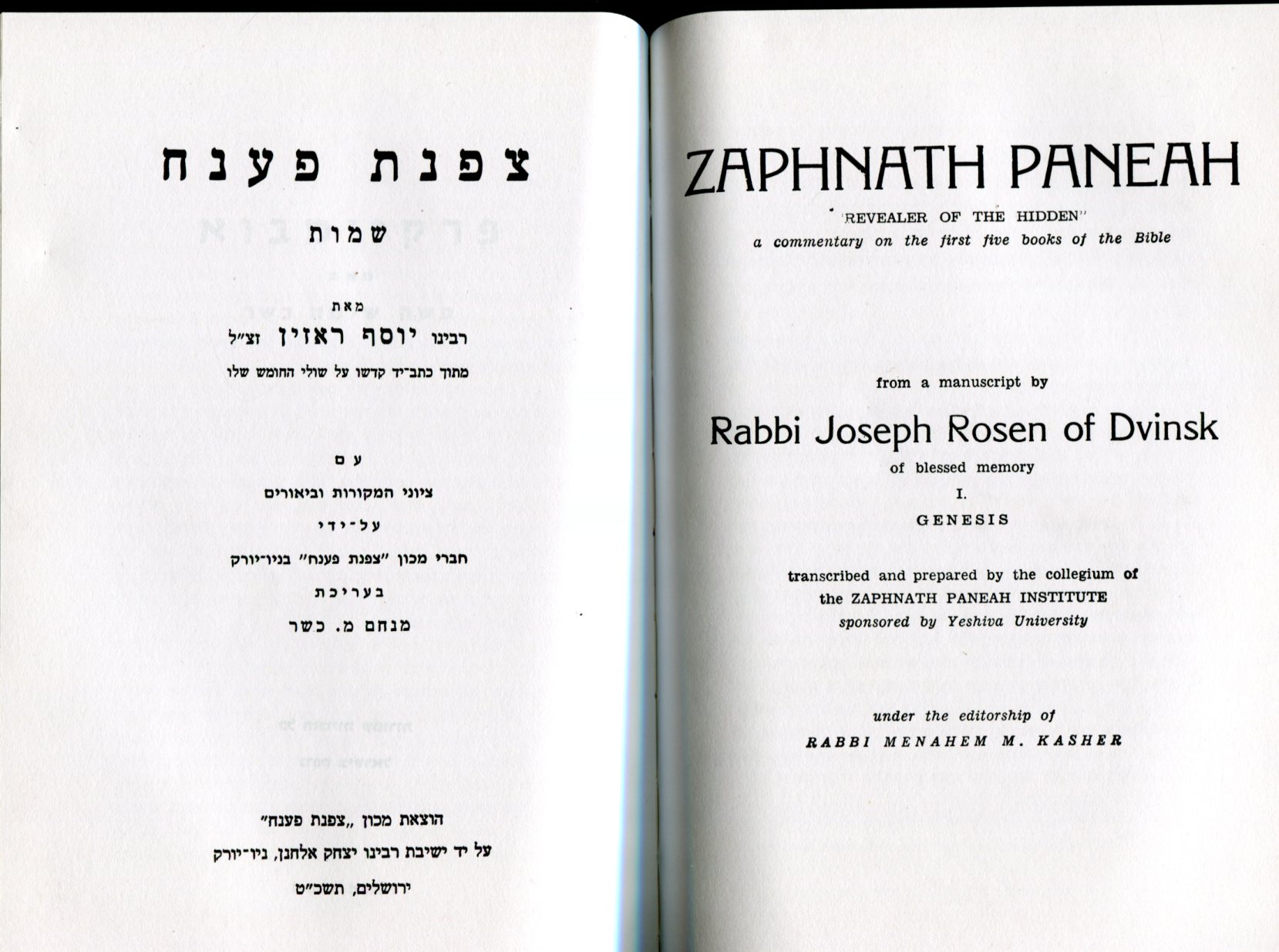 צפנח פענח על התורה. Rogatchover Gaon – HebrewUsedBooks.com – FREE shipping