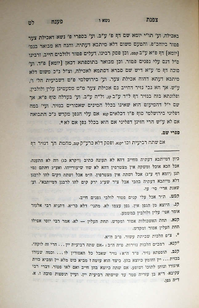 צפנת פענח. Rogatchover Gaon – HebrewUsedBooks.com – FREE shipping